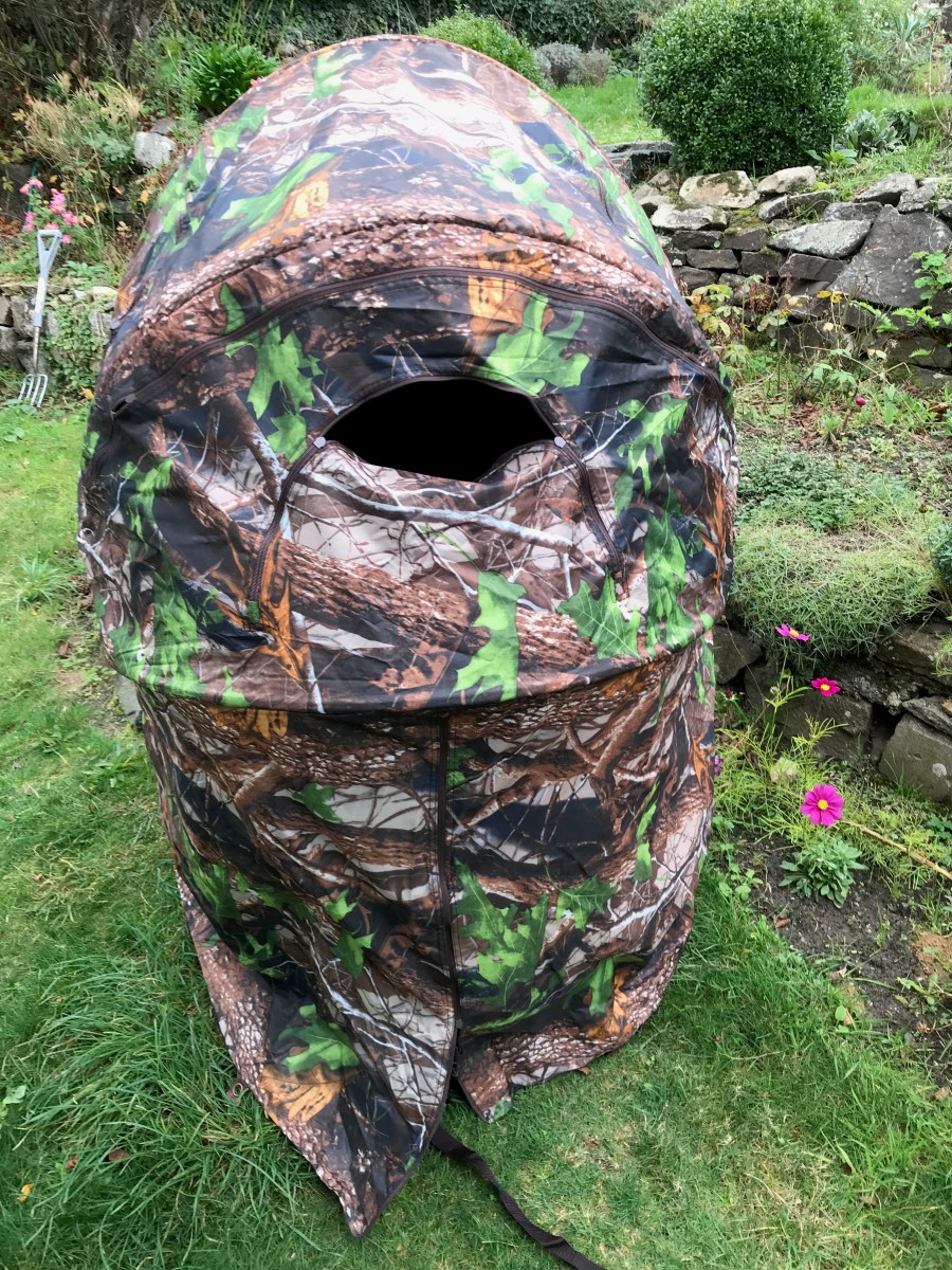 Sunday 14 November – Pop-up Hide – Natural history of the Bailiwick of ...